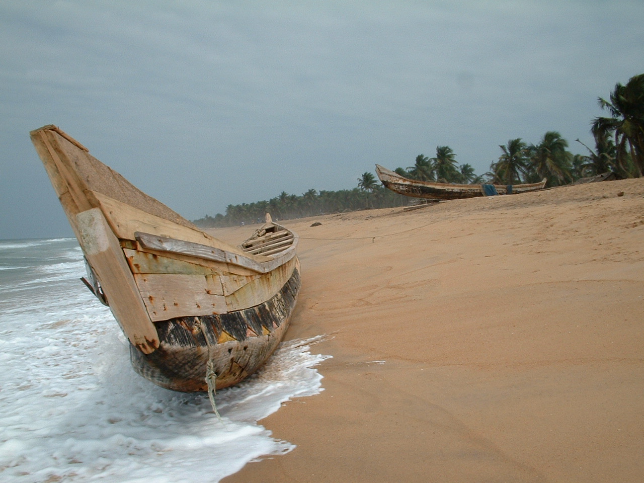 Wissenschaftliche Beiträge - Daniela Roth