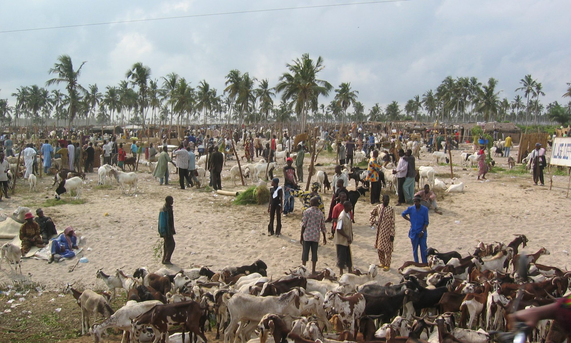 Journalistische Beiträge - Daniela Roth